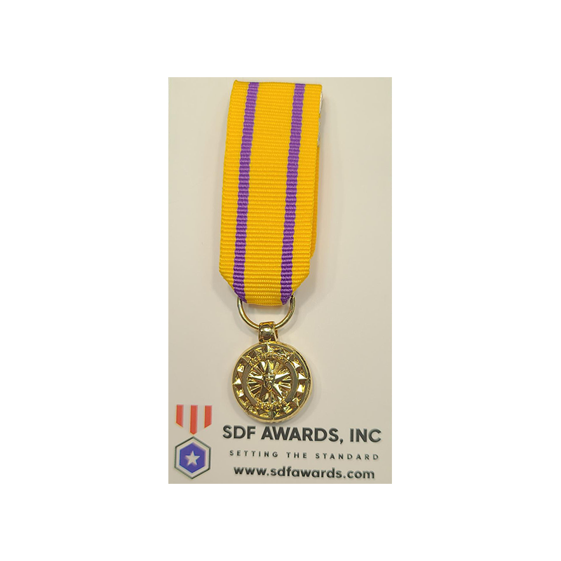 TXSG Exemplary Service Medal - Mini Gold | SDF Awards, Inc