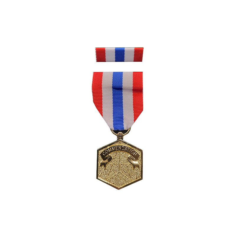 TXSG Commendation Medal - Gold Finish | SDF Awards, Inc