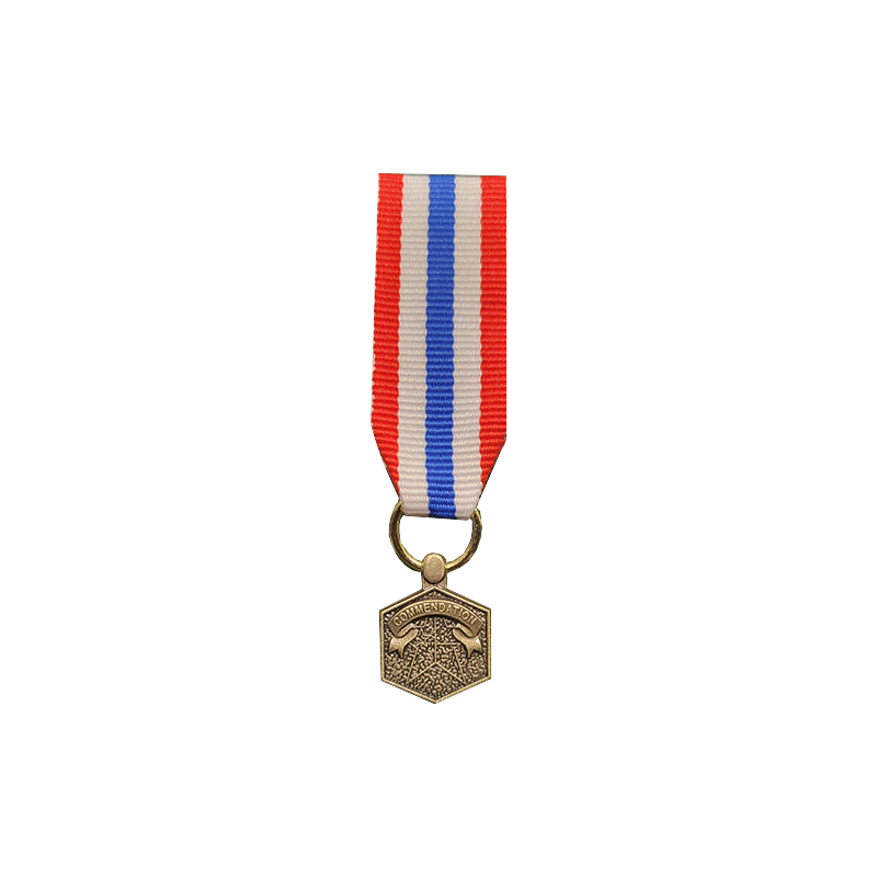 TXSG Commendation Medal - Mini Standard | SDF Awards, Inc