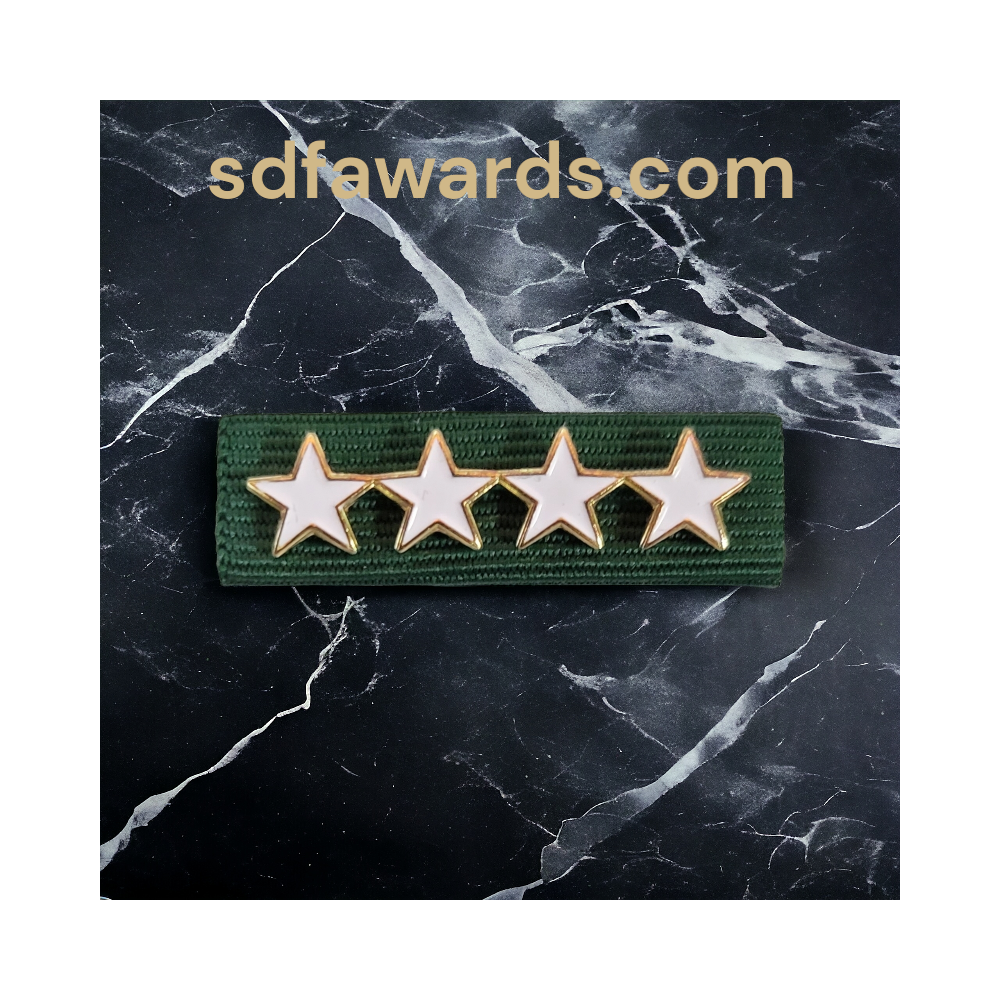 Texas Adjutant Generals Individual Award | SDF Awards, Inc