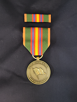 TXSG Meritorious Service Medal | SDF Awards, Inc